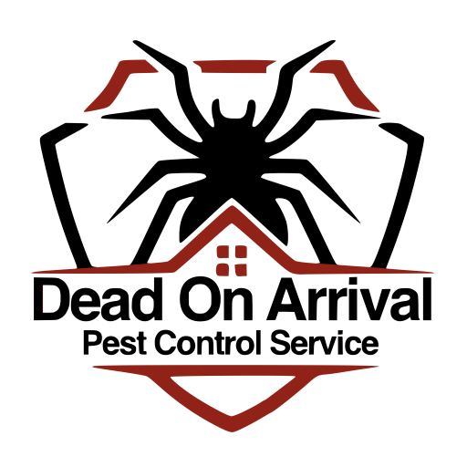 Expert Pest Control Services in South Carolina